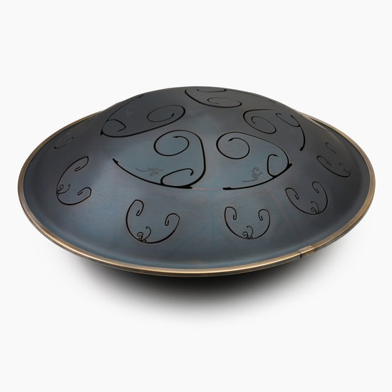 RAV ANIMA Chord based Steel Tongue Drum – RAVVAST