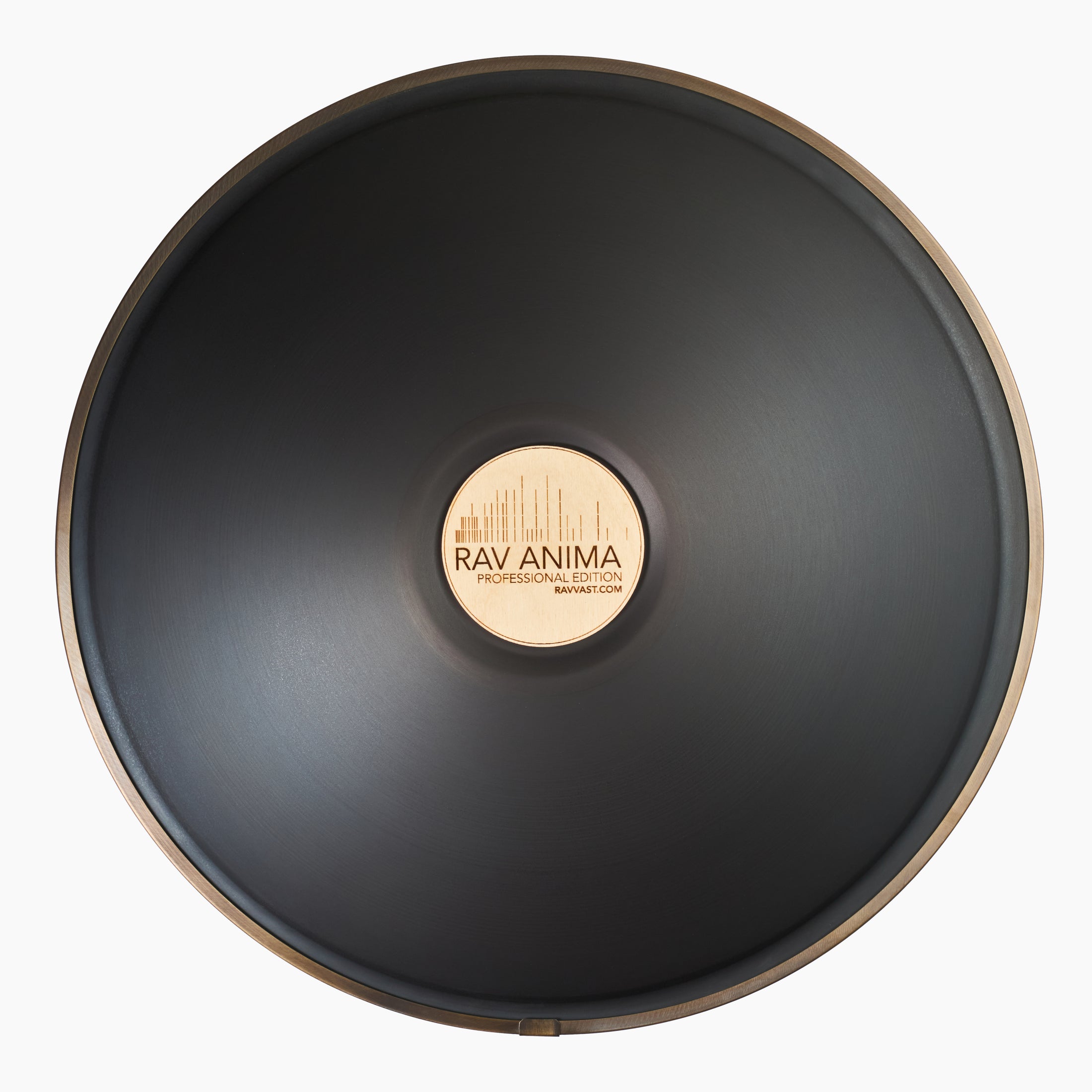 RAV ANIMA Chord based Steel Tongue Drum – RAVVAST